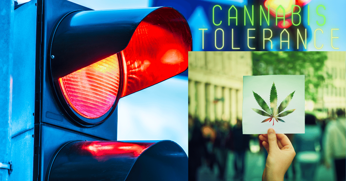 A Pause On Weed: A Guide Into A Cannabis Tolerance Break - Marijuana ...