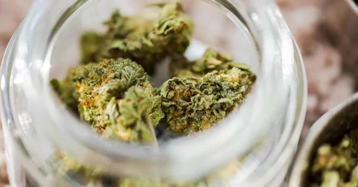 7 Best Ways to Use Cannabis Curing Jars For Perfectly Cured Cannabis - Marijuana Grow Hub